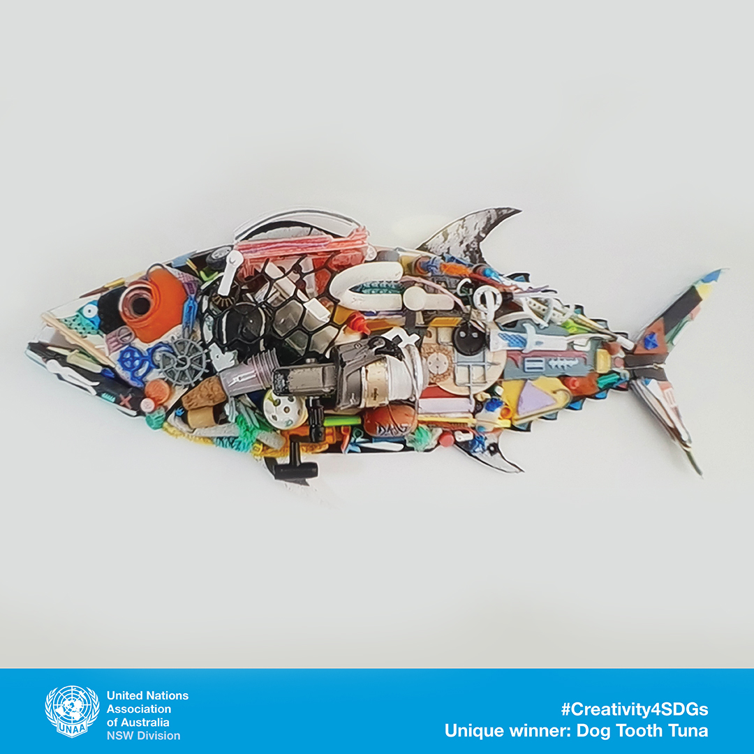 UNAA (NSW) Creativity for SDGS Challenge - UNAA